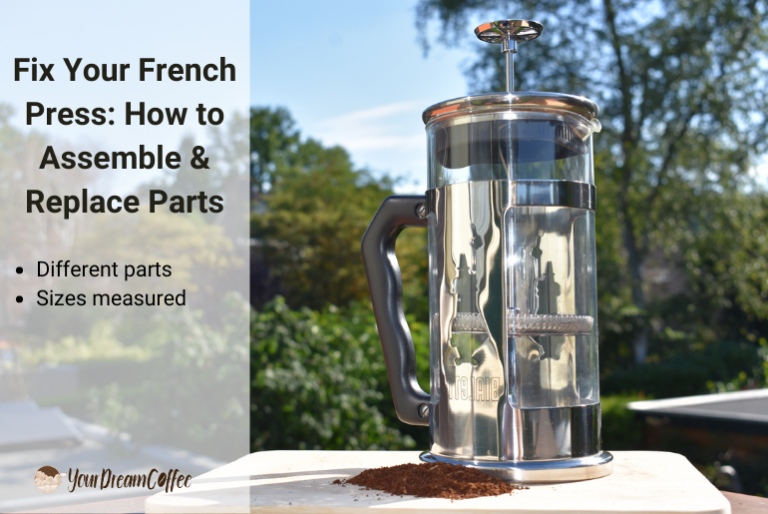 Fix Your French Press: How to Assemble & Replace Parts