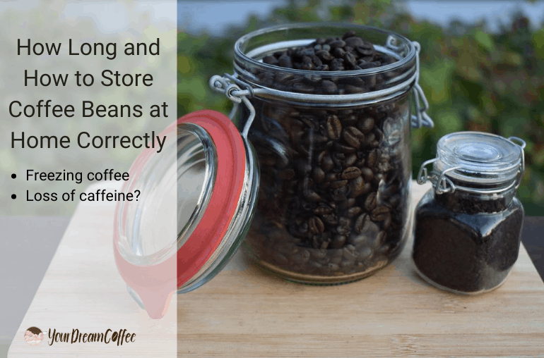 Best Coffee Beans for Cold Brew (For a More Tasty Summer)