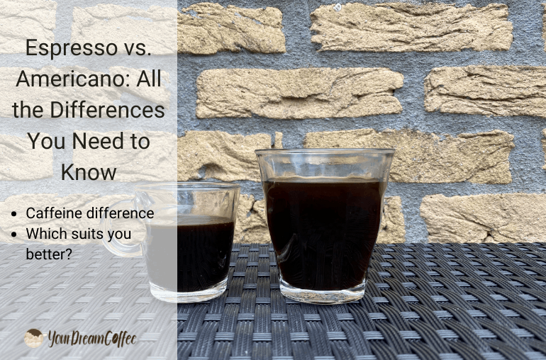Americano vs. Long Black: Get To Know All the Differences