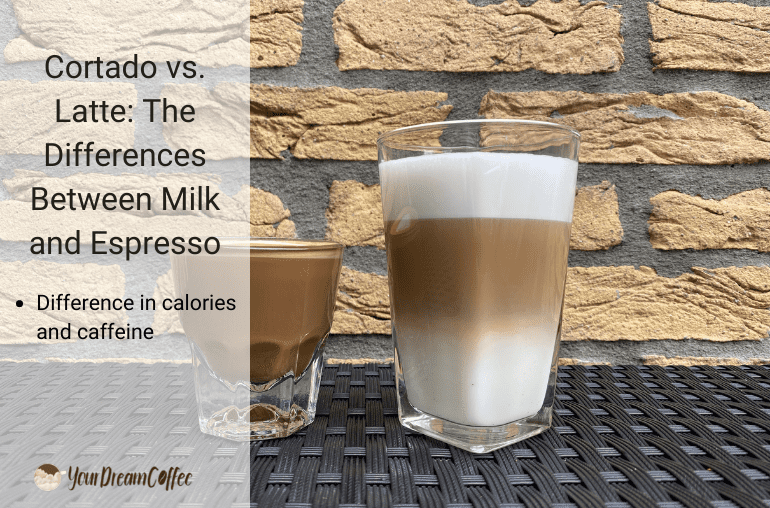 Americano vs. Latte: All the Differences You Need to Know