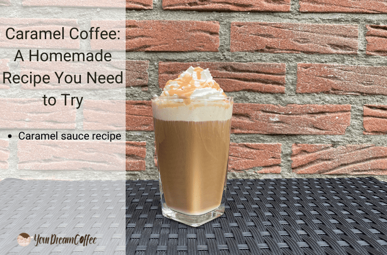 Homemade Java Chip Frappuccino (Easiest Recipe in 2025)