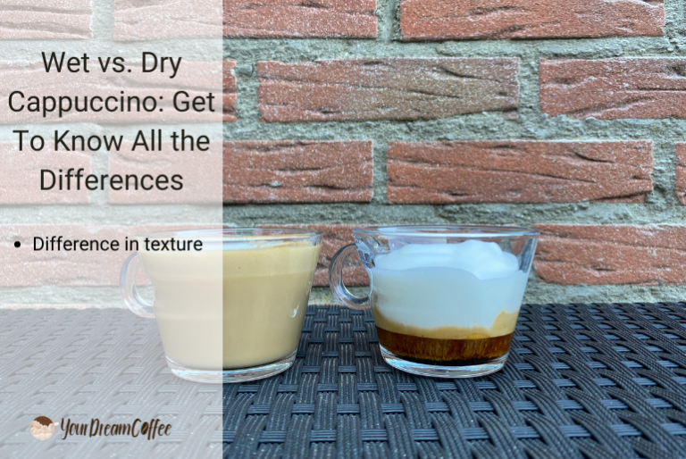 Wet vs. Dry Cappuccino: Taste, Espresso & Milk Differences