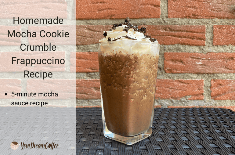 Homemade Java Chip Frappuccino (Easiest Recipe in 2025)