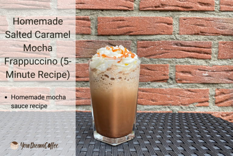 Homemade Salted Caramel Mocha Frappuccino (5-Minute Recipe)