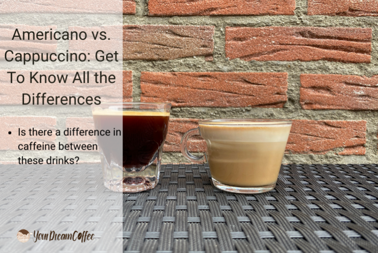 Americano vs. Cappuccino: Taste, Milk & Key Differences