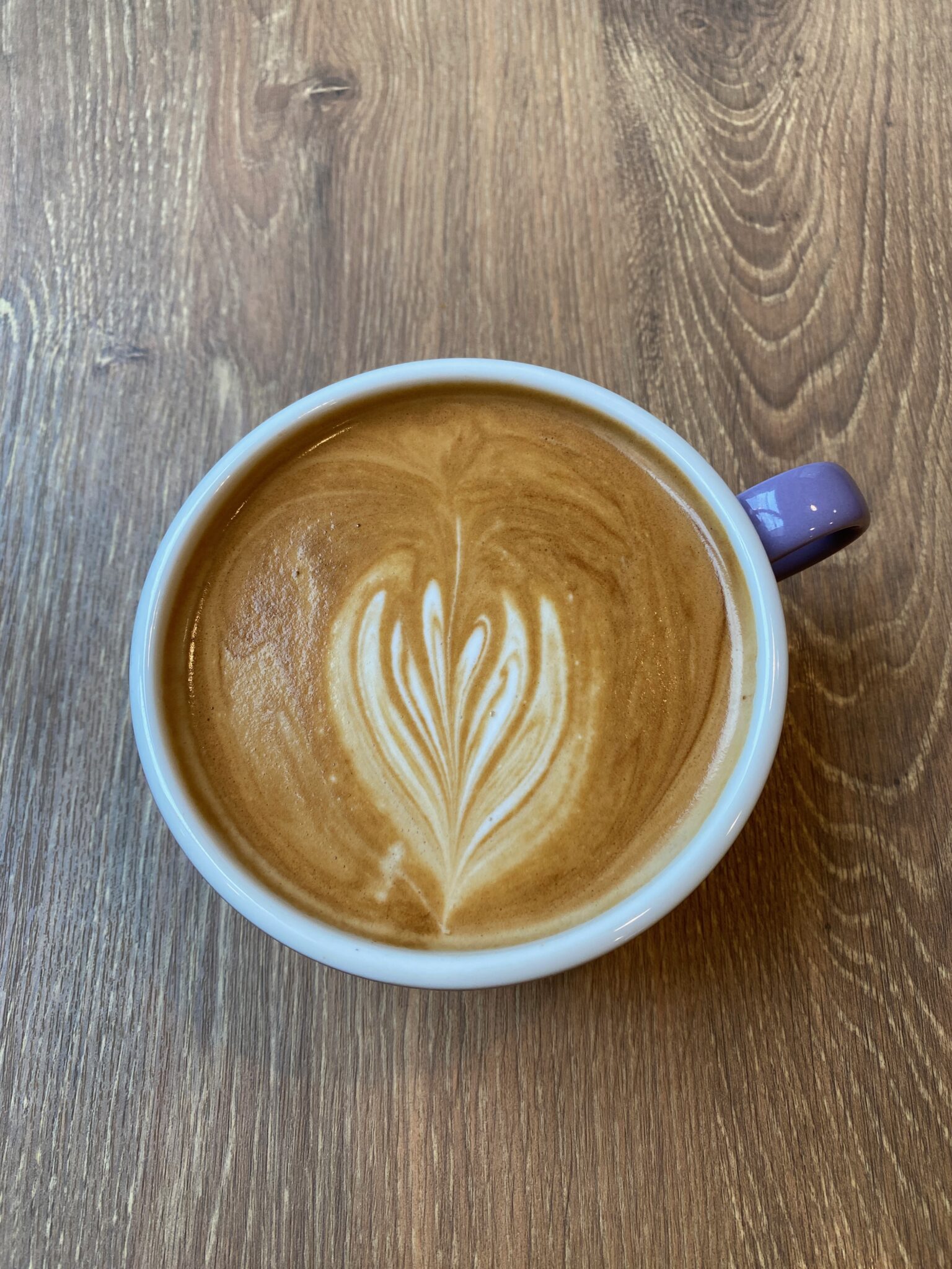 Mocha Cappuccino: What Is It & How Do You Make It at Home?