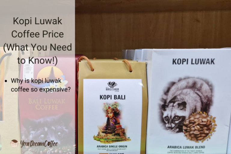 Kopi Luwak Coffee Price (What You Need to Know!)
