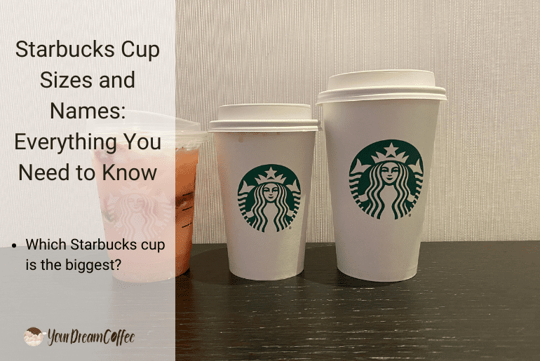 Starbucks Cup Sizes And Names Everything You Need To Know Starbucks Cup Sizes And Names Everything You Need To Know